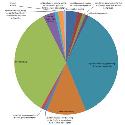 Gene Ontology Go Classification 3 Rd Level Go Terms Of Molecular