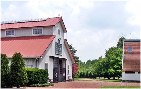 Volume Two Photos By Vada Scenes Of Gainesway Farm