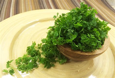 Micro Chervil Gourmet Sweet Botanicals