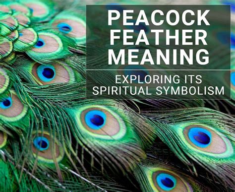 Peacock Feather Meaning Exploring Its Spiritual Symbolism