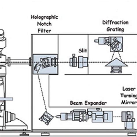 Schematic Diagram Of A Renishaw Raman Microscope Download Scientific