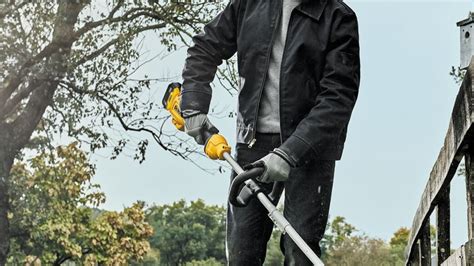 Can You Use A 20v Dewalt Weed Eater Head On A 60v