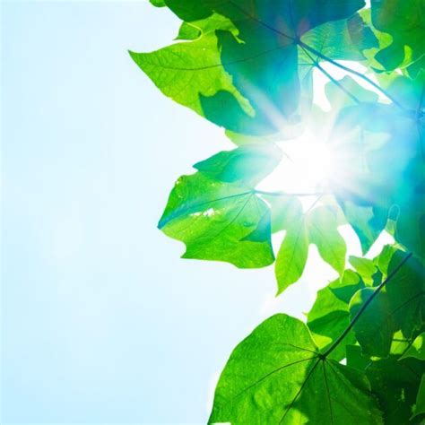 Idverde Achieves Third Successive Carbon Neutral Year Idverde Uk