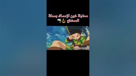 محاولة غون الإمساك بسمكة المستنقع 🪝🦈 Hunterxhunter غون كيلوا هيسوكا
