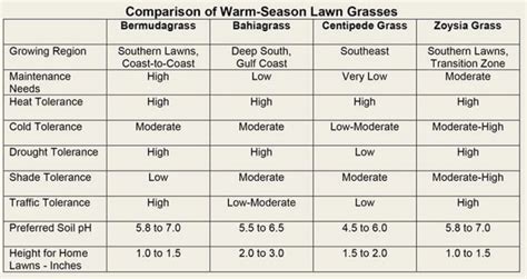 Comparison Table For Different Types Of Lawn Grass