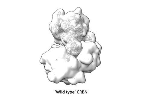 🚀 Publication Out Today In Cell Chemical Biology On Optimized ‘easy To