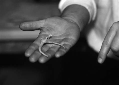 Jaclyn Wright Photographer Phases Magazine