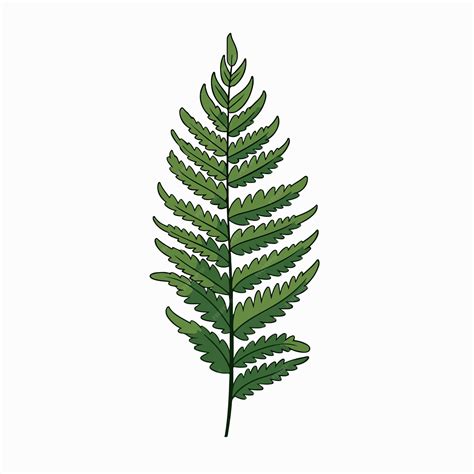 Premium Vector Fern Flat Vector Illustration Fern Cartoon Hand