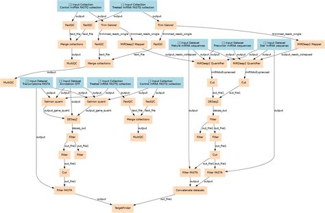Plant Bulk Rna Seq Workflow