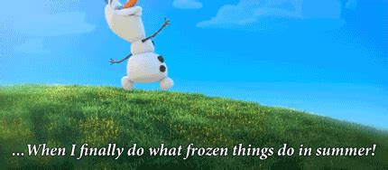 Olaf Summer 