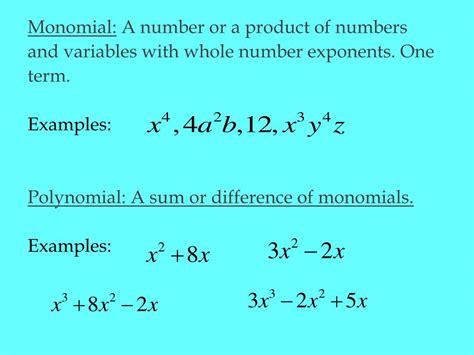 Ppt Evaluating Functions And Understanding Polynomials Key Concepts And Exercises Powerpoint