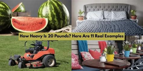 How Heavy Is 10 Pounds 15 Surprising Objects Measurescopez