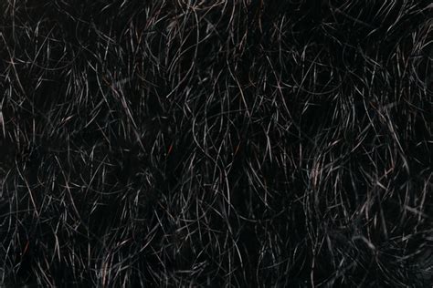 Beard Hair Texture Just For Men Touch Of Gray Mustache And Beard