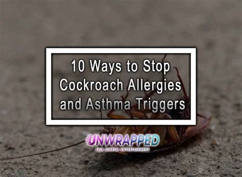 10 Ways To Stop Cockroach Allergies And Asthma Triggers