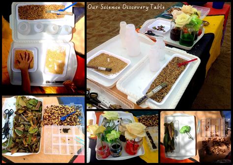 Upuerê Discovery Table