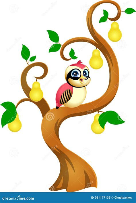The 12 Days Of Christmas 1 St Day A Partridge In A Pear Tree Stock