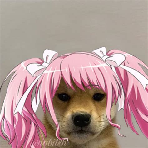 𝒞𝓊𝓉𝒾𝑒 𝒶𝓎𝒶 Dog Icon Funny Art Funny Profile Pictures