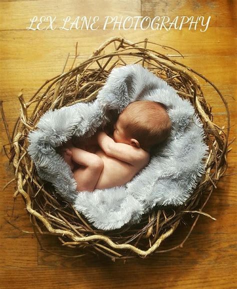 Pin By Alexis Lane On Lex Lane Photography Photography Inspiration Photoshoot