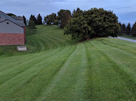 Those Lines In The Grass 😌 Roddlysatisfying
