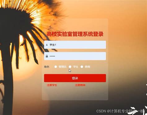 python高校实验室管理系统的django设计与实现 txp