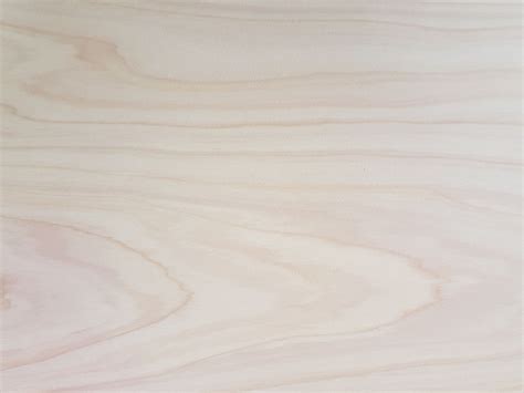 Timber Species Timberline