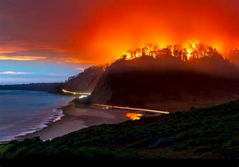 Zoe Kuzbari Posted On Linkedin