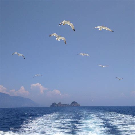 Pesca Turismo And Fun Massa Lubrense Alt Du Skal Vide Før Du Besøger