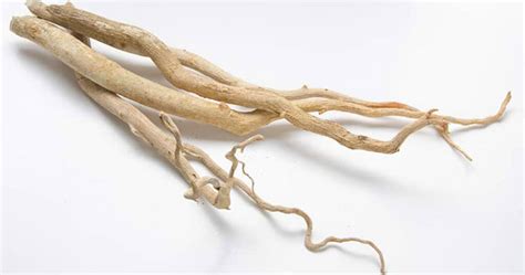 Tongkat Ali Eurycoma Lonolia Aka Longjack