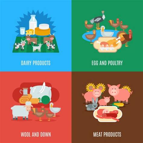 Products We Get From Animals Quiz