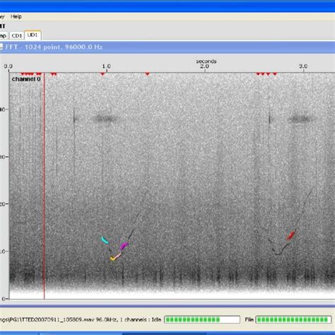 B Whistle Detection Example Spectrogram 1024 Fft 4 Sec Window