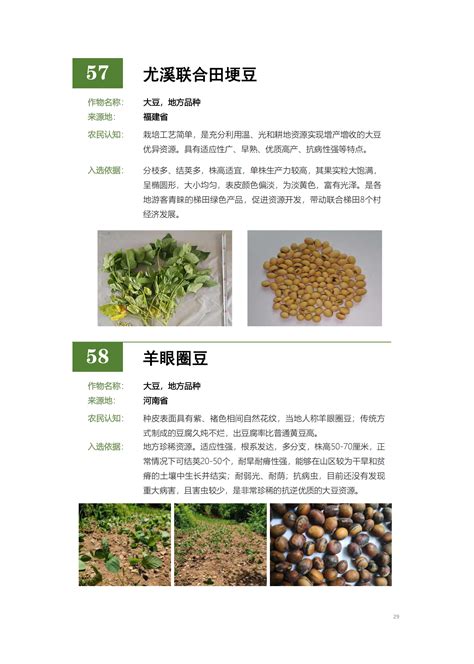 第三次全国农作物种质资源普查优异种质资源 农小蜂