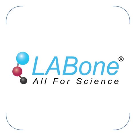 Sinh Hoạt Cộng đồng Labone Việc Làm Chính Sách Tại Labone