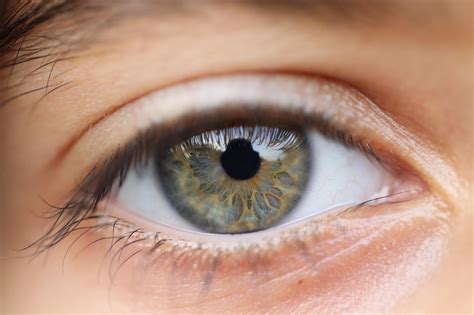 4000 Free Our Vision And Eye Images Pixabay