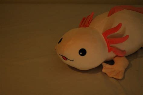 Assignment4part2 Flickr Assignment4part2 Flickr