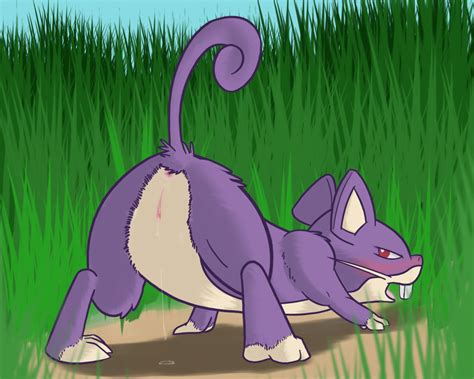 Post 970999 Porkyman Rattata Ziyen