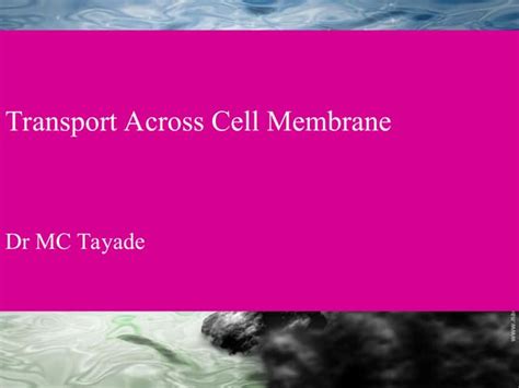 Membrane Potential For Medical Students Ppt Pptx