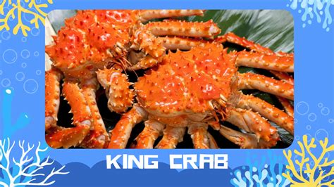 Cookery 10 Classification Of Seafoodpptx