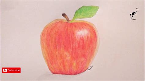 Apple Drawing Color Pencils Timelapse Passion Youtube