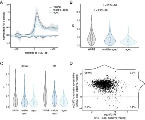 Promoter Proximal Pol Ii Pausing Decreases With Age In Murine Liver A