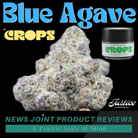 Review Crops Blue Agave By Justice Cannabis Co Illinois News Joint