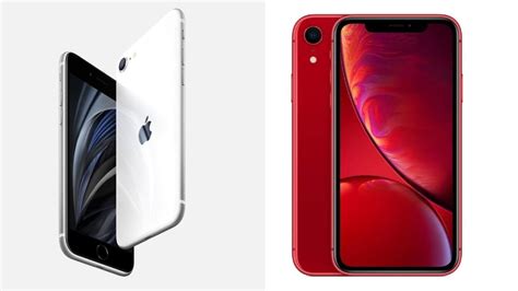 Iphone Se Vs Iphone Xr Which One To Buy