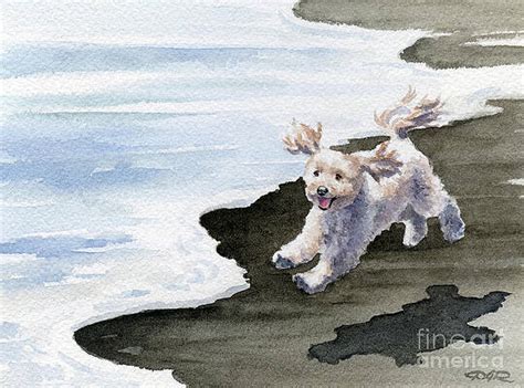 Cockapoo Art For Sale Fine Art America