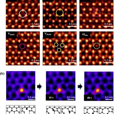 A Atomic Resolution Haadf Stem Image Showing Different Types Of