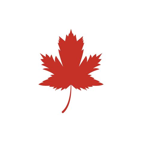 Maple Leaf Vector Image