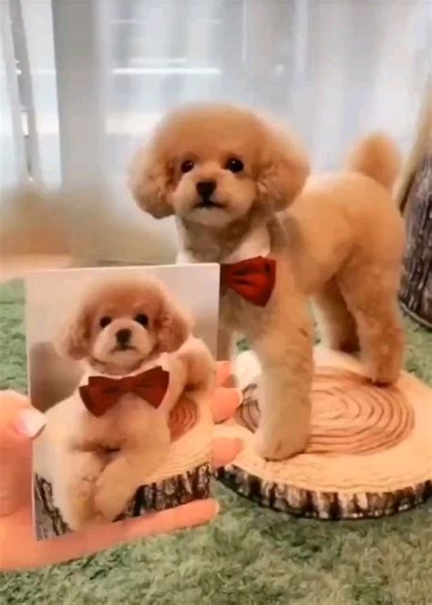 Ravi Narayanan P R On Linkedin Life Lessons Make Time For The People You Love And Surround