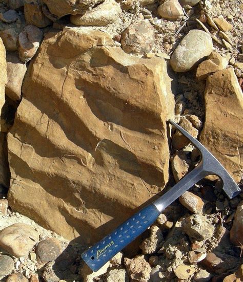 Sedimentary Structures Alchetron The Free Social Encyclopedia Sedimentary Structures Alchetron The Free Social Encyclopedia