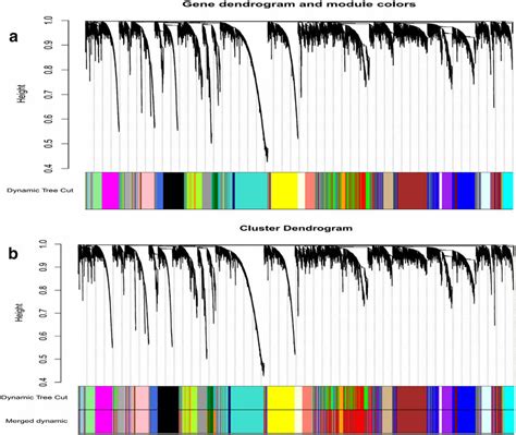 Cluster Dendrogram Generated By Hierarchical Clustering Of Genes