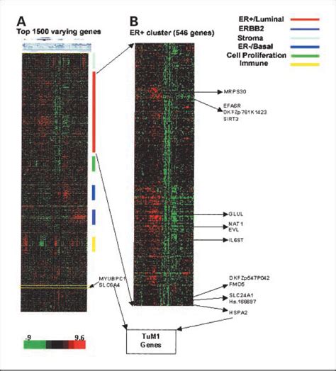 A Unsupervised Clustering Of Breast Cancer Gene Expression Data The