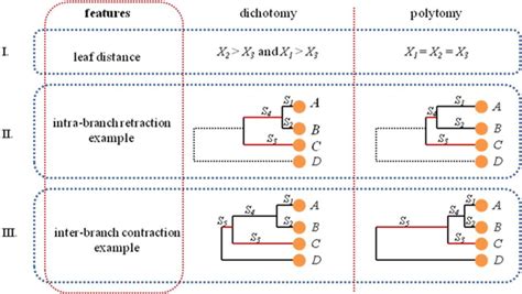 Polytomy Identification Using Three Different Features This Graph