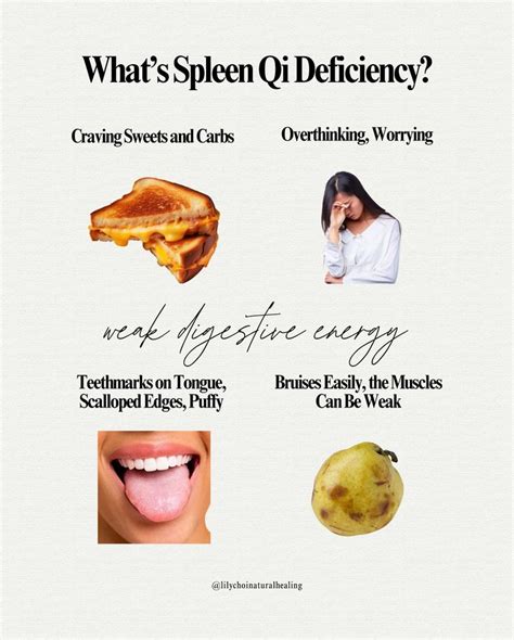The Spleen And Stomach Are Partner Organs Responsible For Digestive